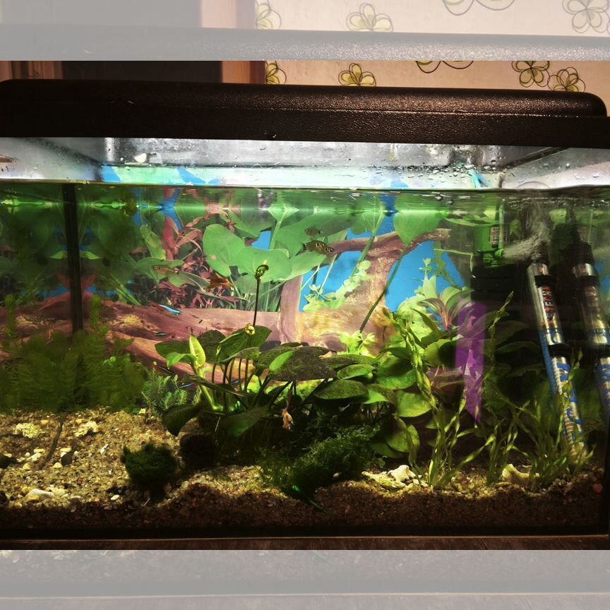 Аквариум 60 литров бу