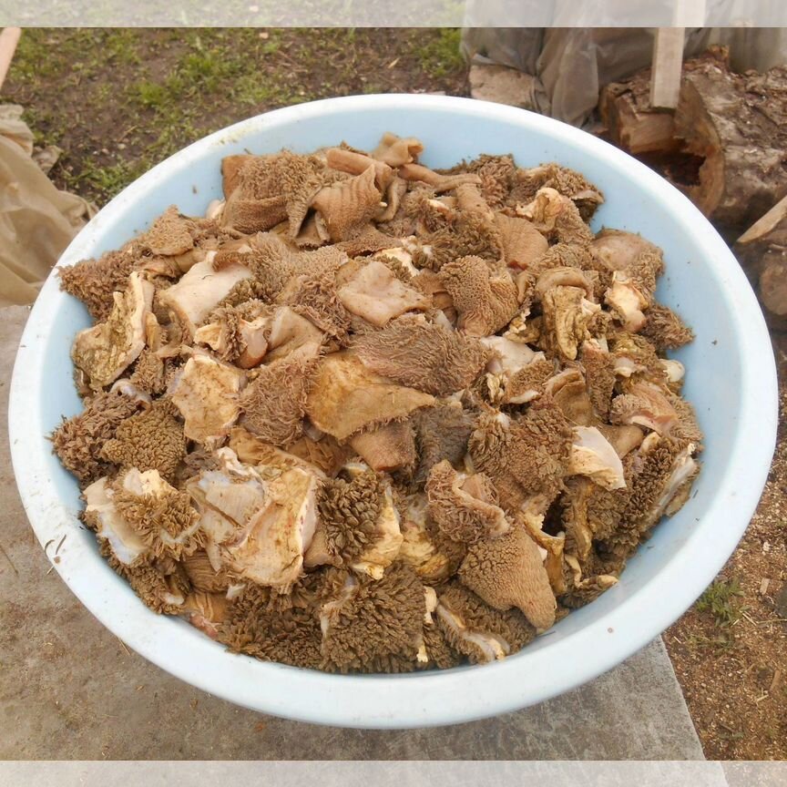 Мясо говядина для собак