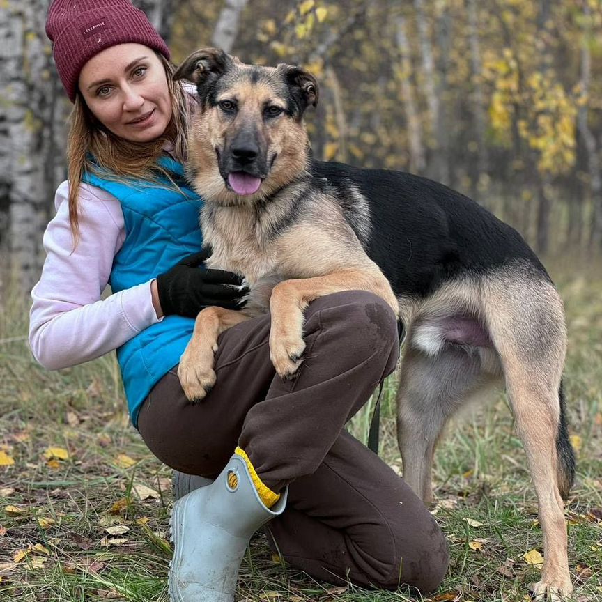 Активный, молодой Рэм ищет хозяина