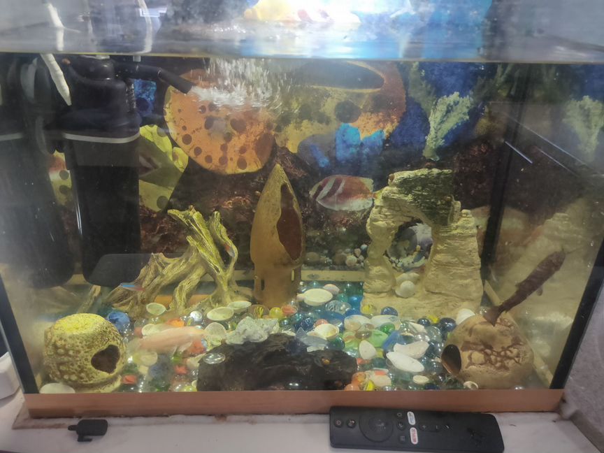 Аквариум с рыбками бу