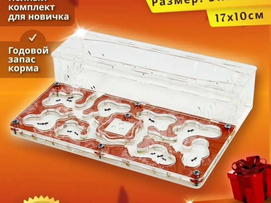 Муравьиная ферма без муравьев