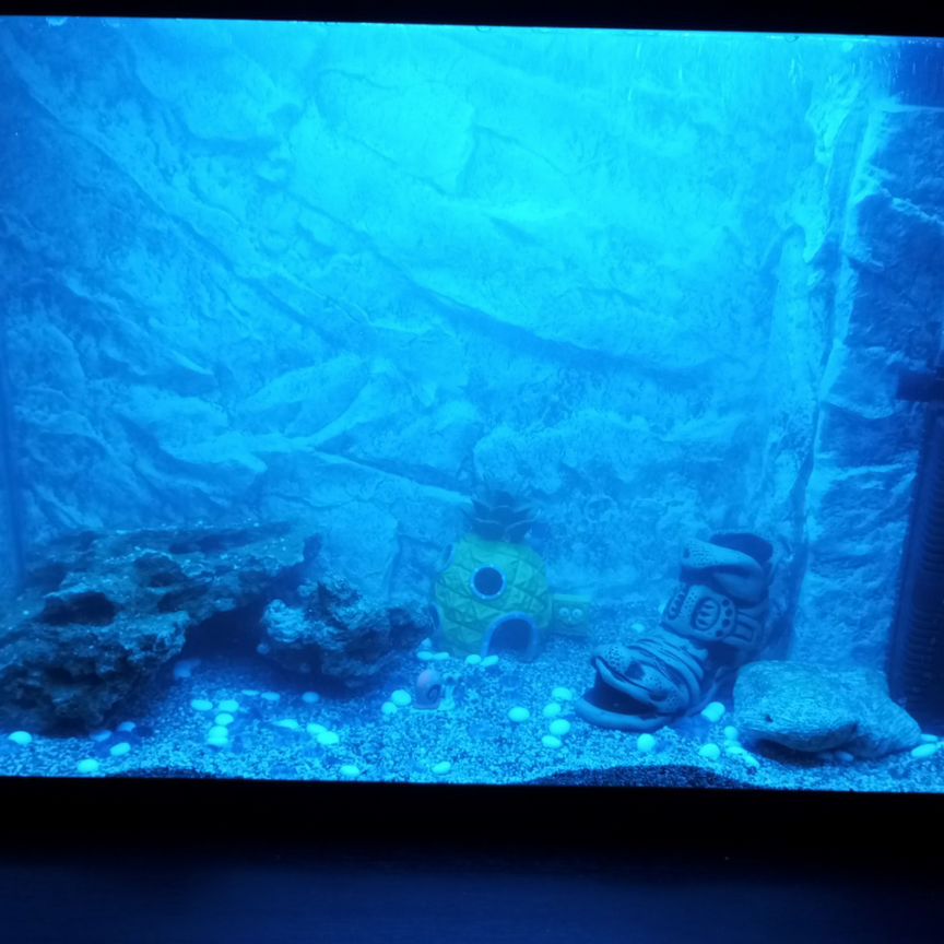 Аквариум juwel 70-75л