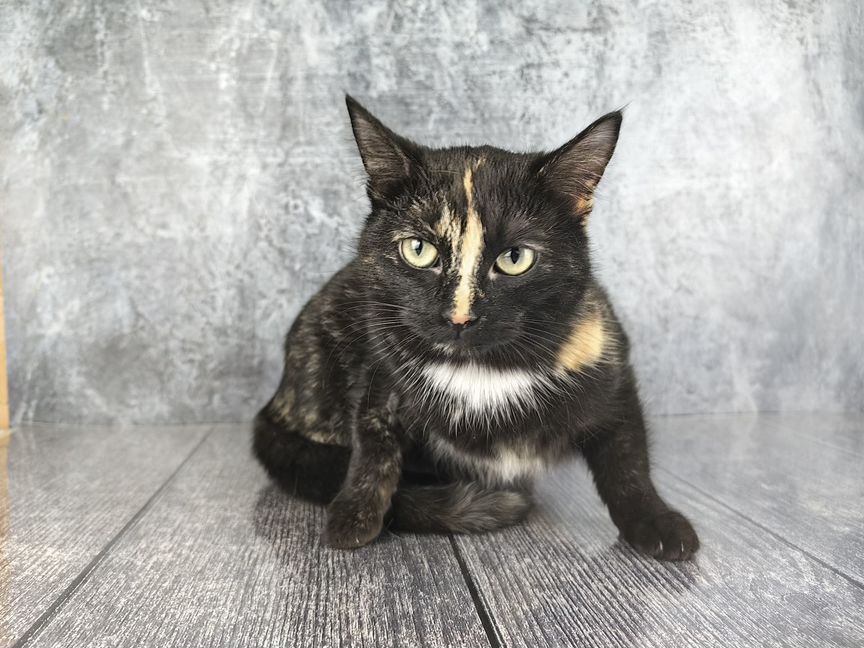 Злата, 8месяцев