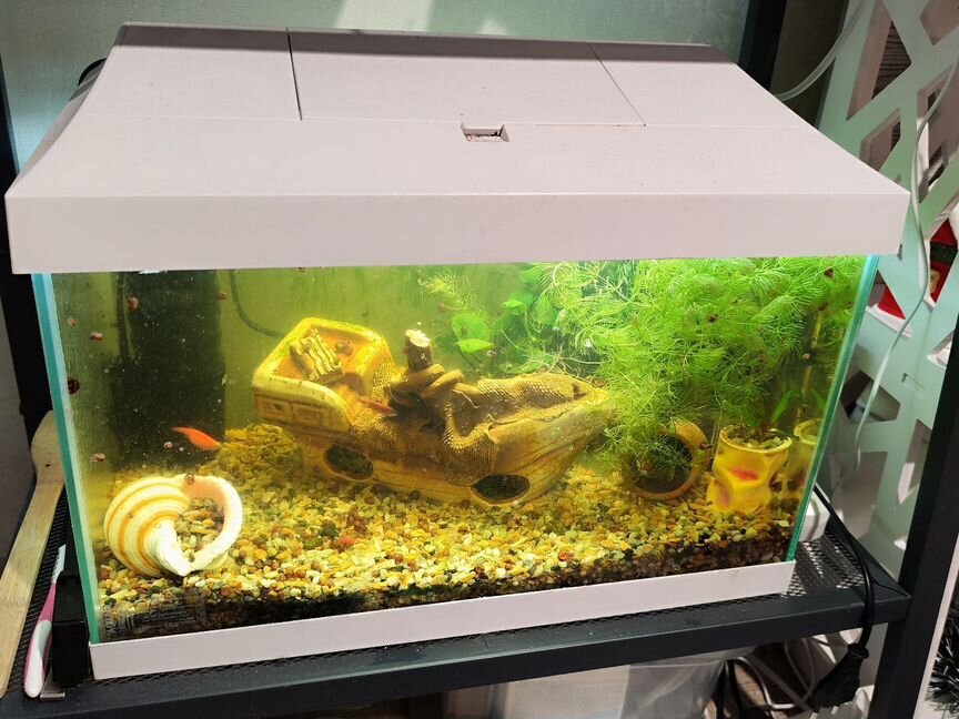 Аквариум 25л. с рыбками (Aquael Leddy 40)