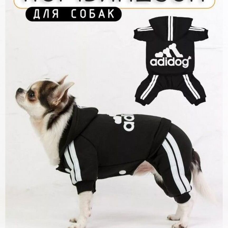 Комбинезон для маленькой собаки