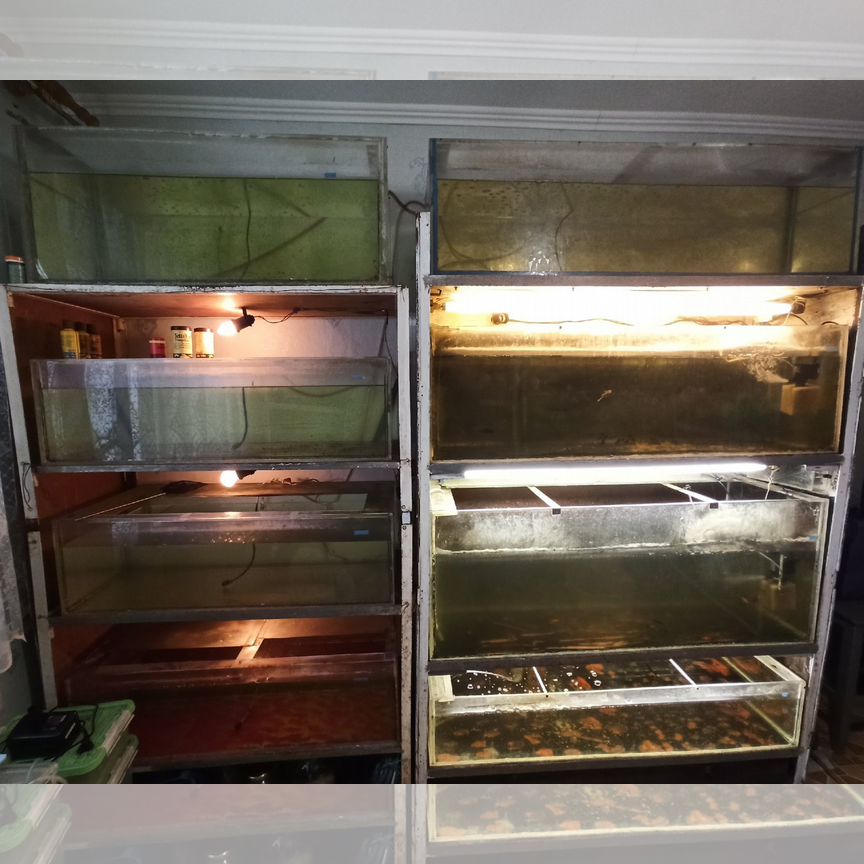 Продаются две аквариумные стойки с аквариумами