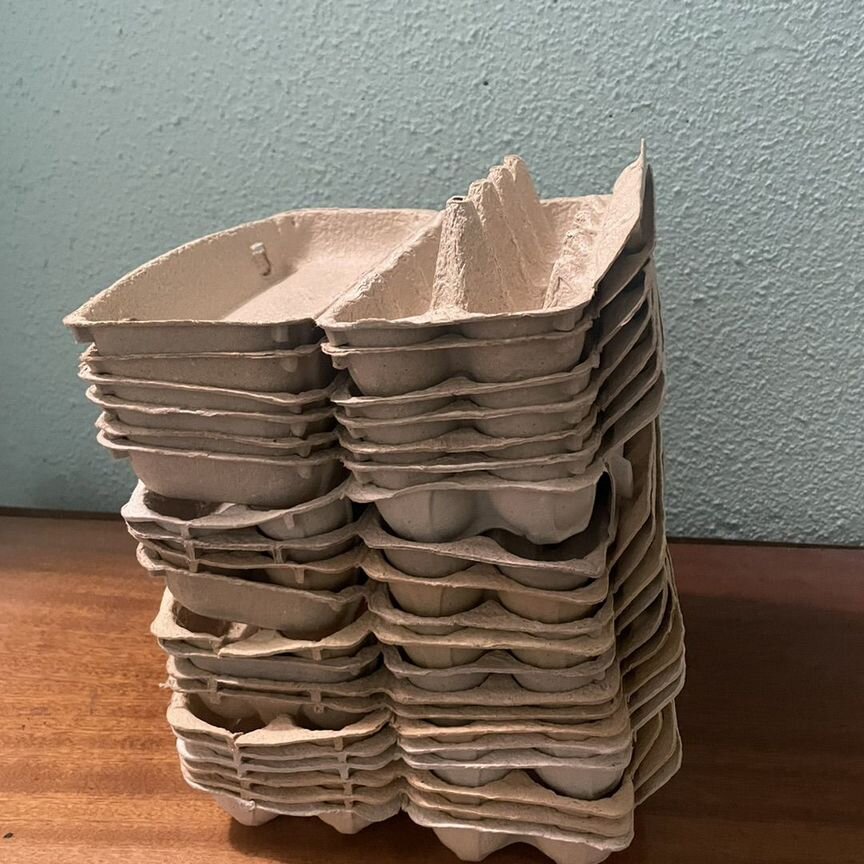 Яичные лотки