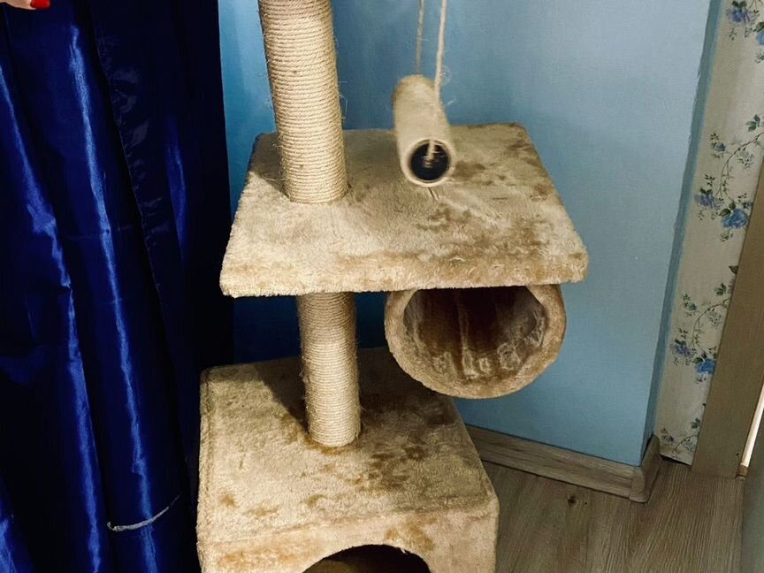 Домик для котов