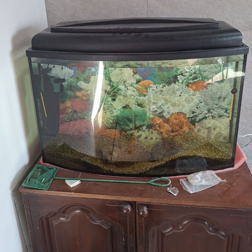 Аквариум с рыбками