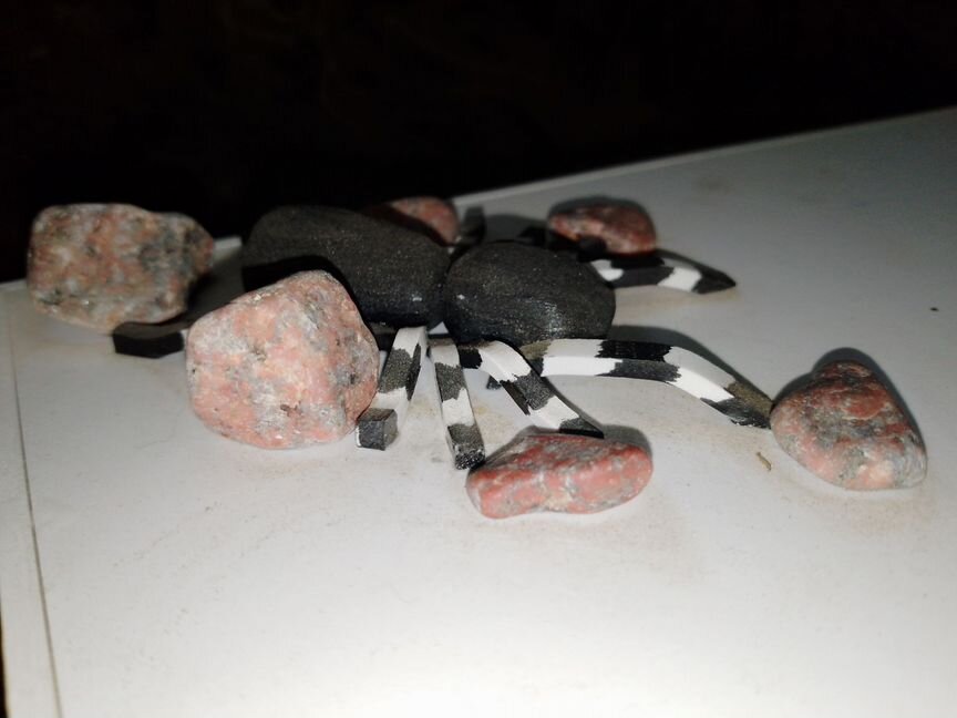 Террариум для вашего питомца