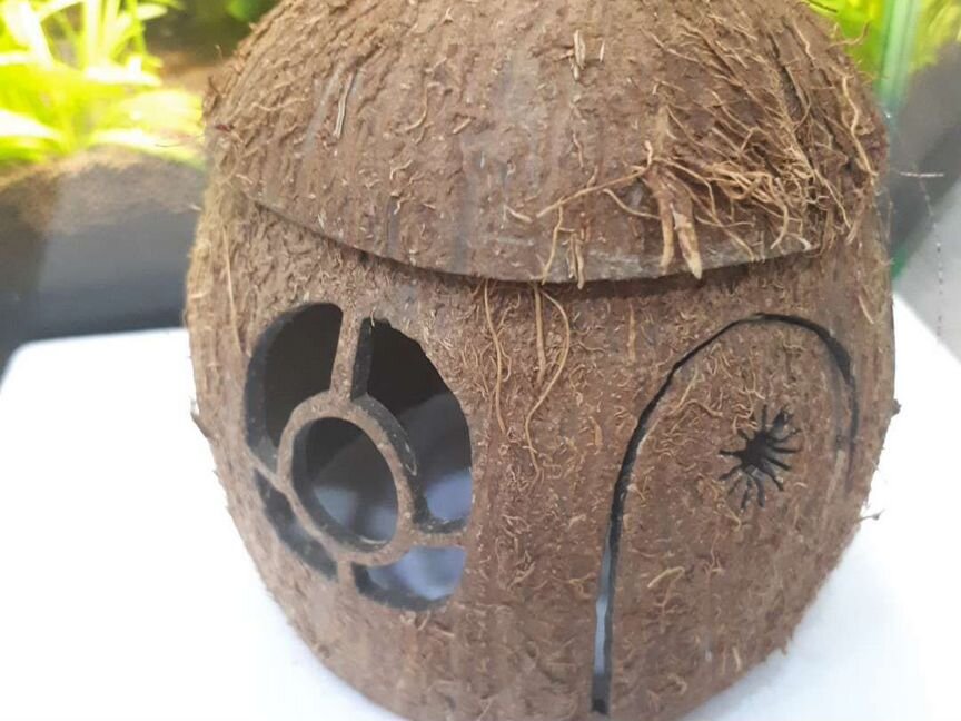 Декор для аквариума. Домики из натур.кокоса