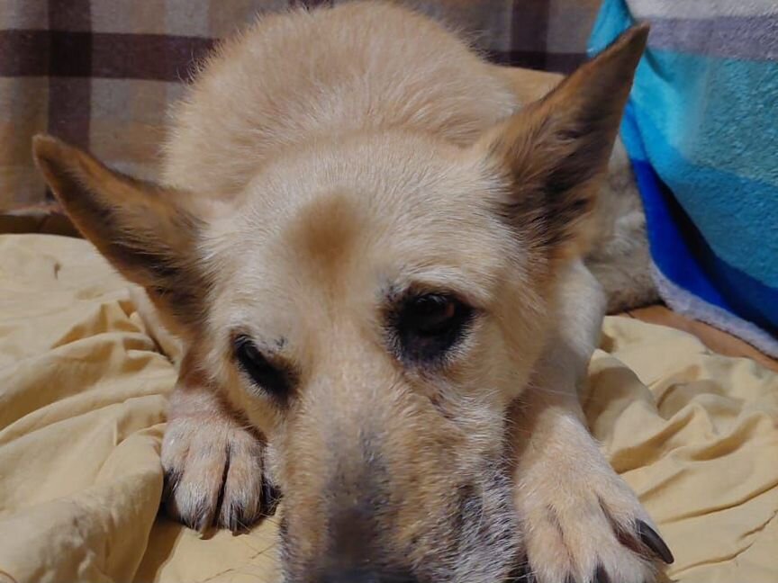 Балта стала инвалидом