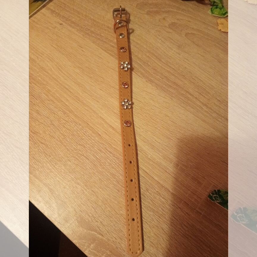 Ошейник для собак