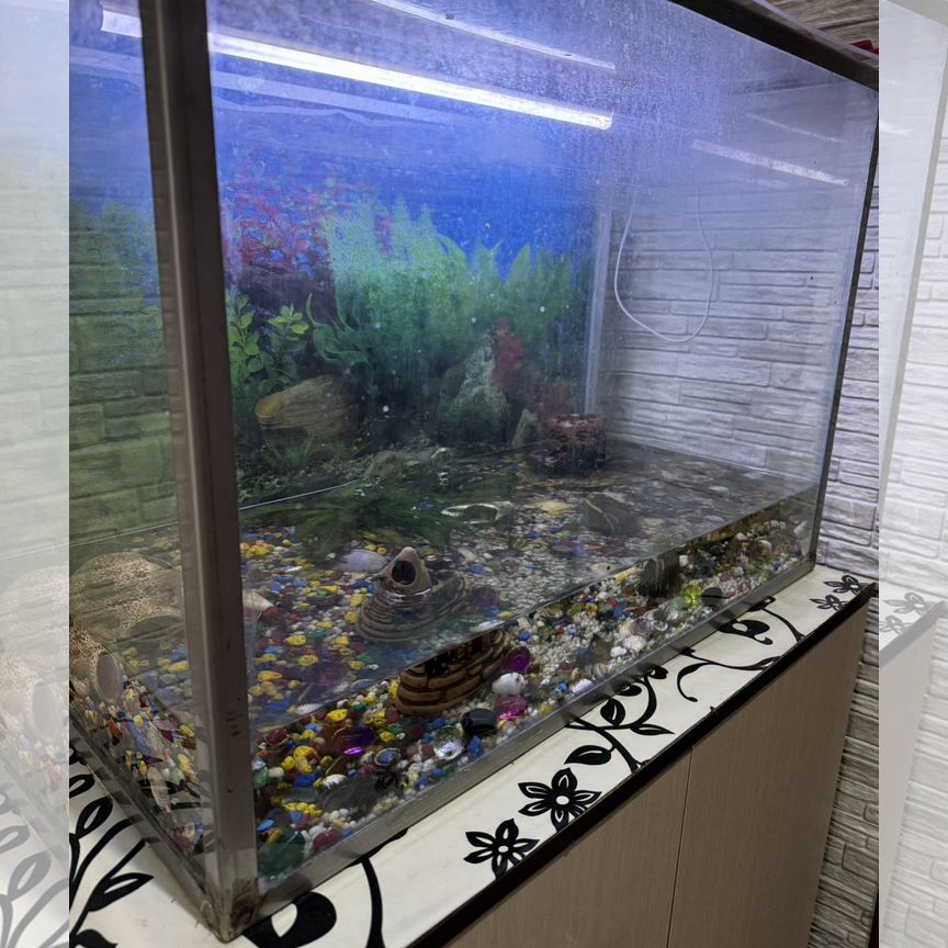 Аквариум