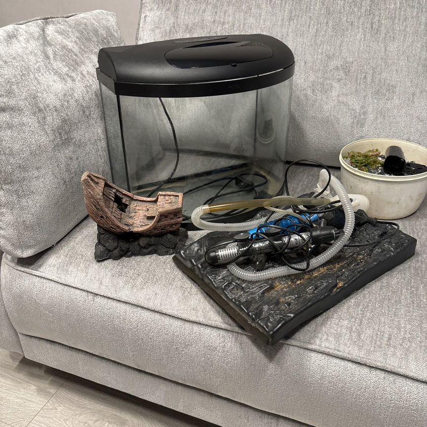 Аквариум. Цена за все