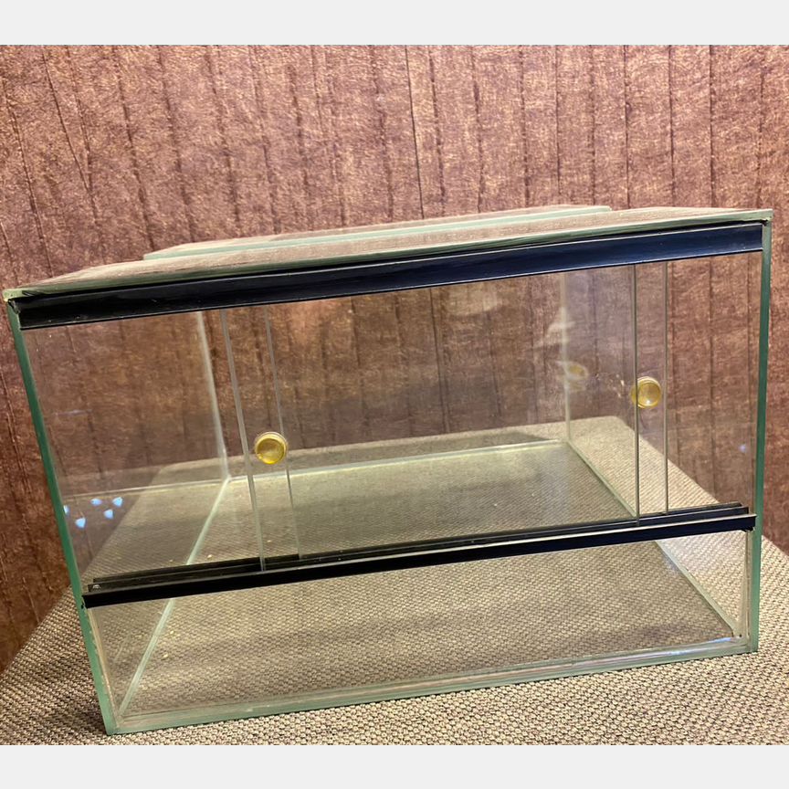 Террариум - паучатник