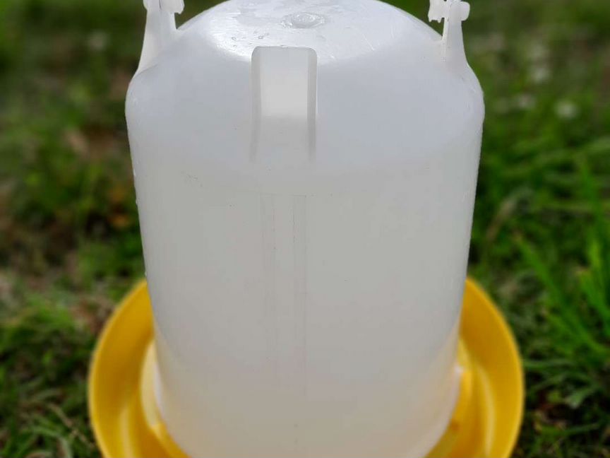 Поилка для птиц