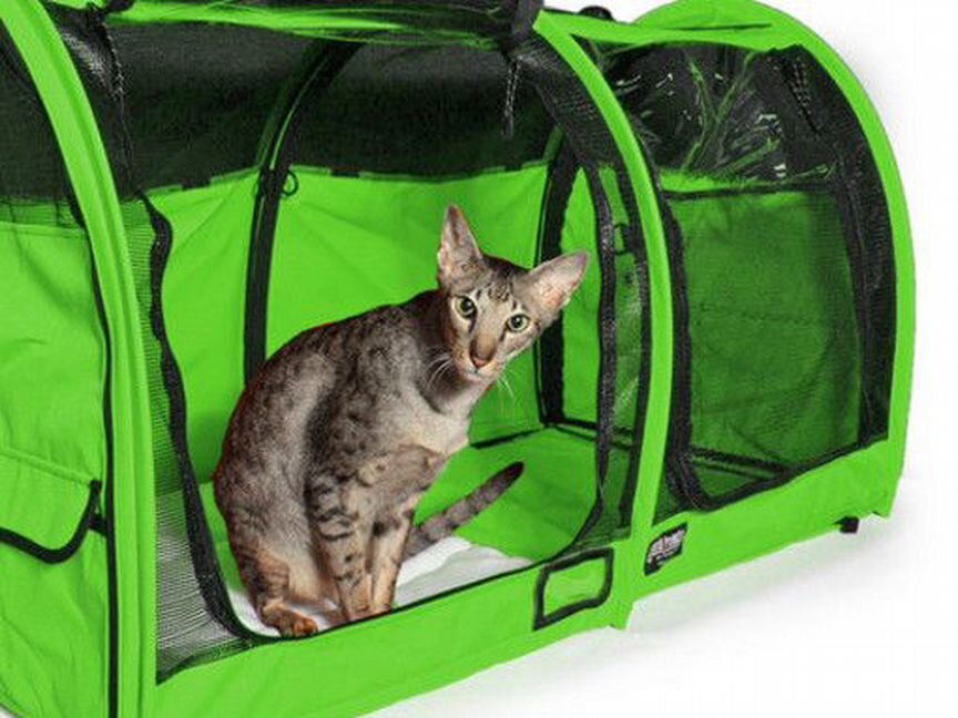 Палатка двойная Sturdi (cша) Оригинал Новая