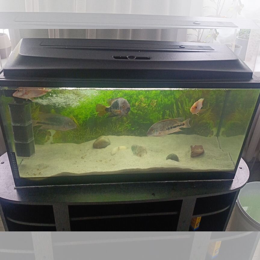 Аквариум с тумбой 180