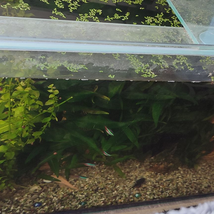 Аквариум на 150 литров