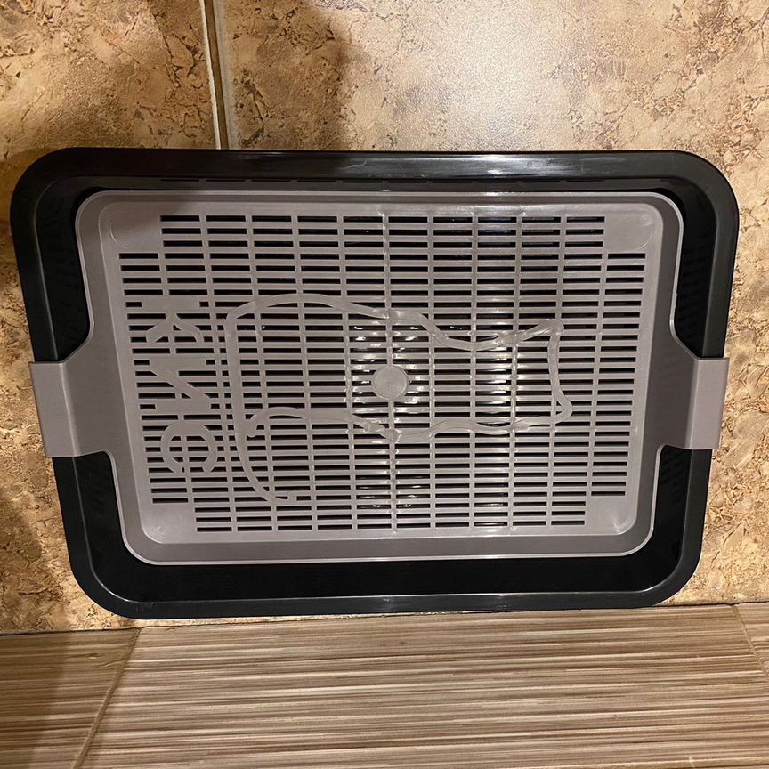 Лоток и миски для котенка