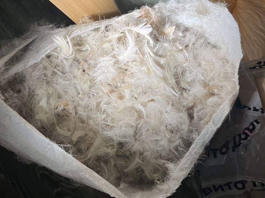 Перья куриные