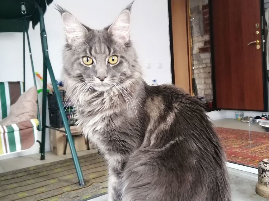 Мэйкун вязка (серый мрамор)