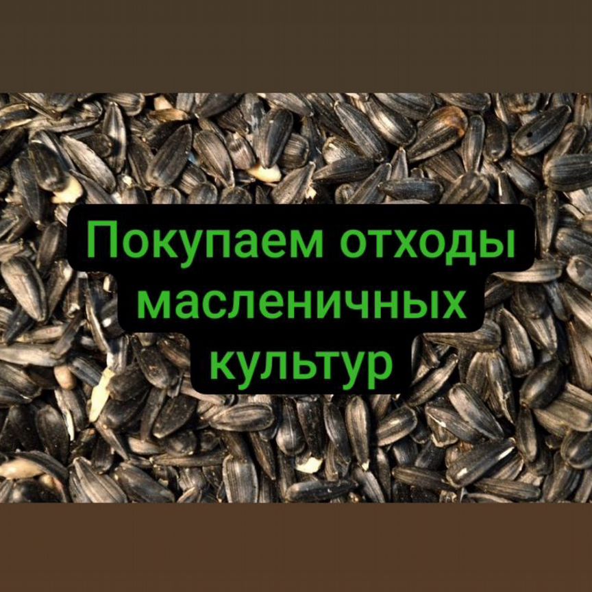 Отходы семечки