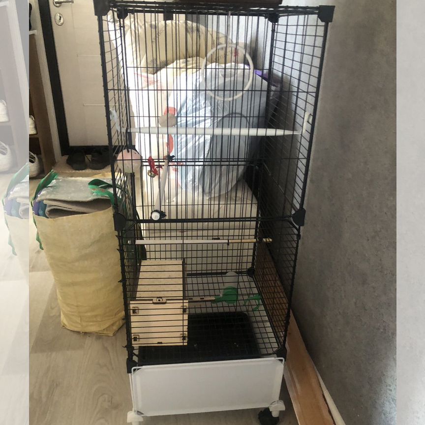 Волнистый попугай с клеткой