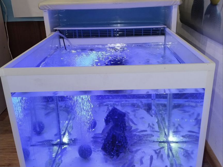 Аквариум полный комплект для гарра руфа