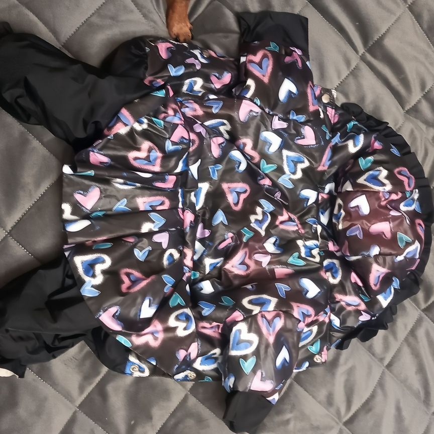 Комбинезон на синтепоне для собачки