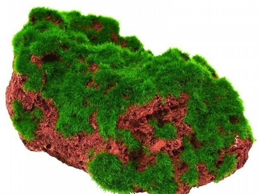 9427.15.968 Камень со мхом большой (едк 001б) MSH