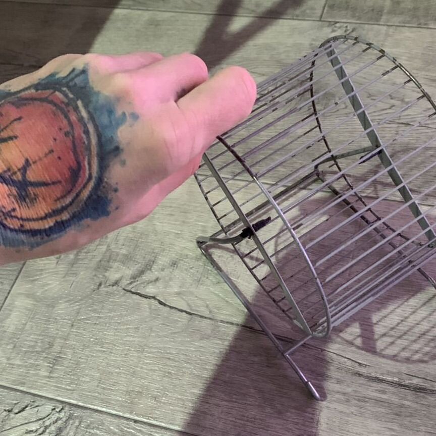 Две клетки для зомяков