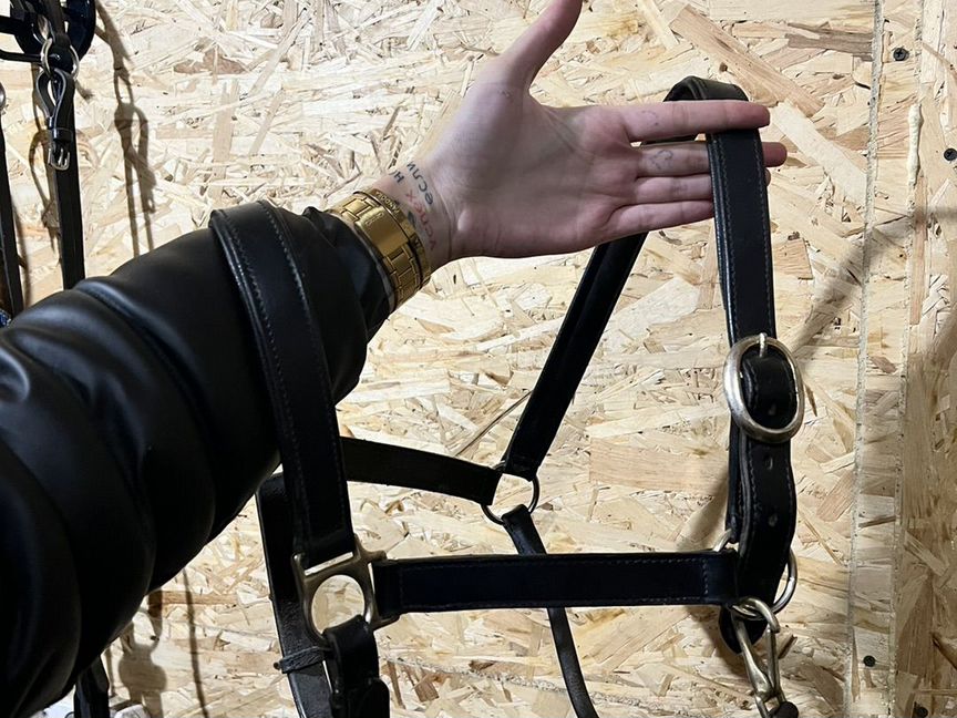 Кожаный недоуздок, подперстье/мартингал