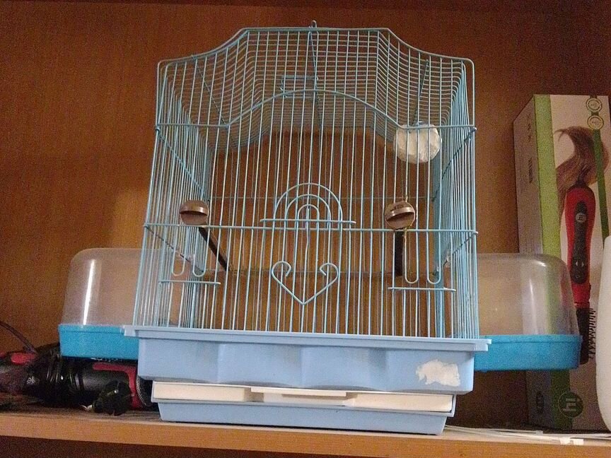 Клетки
