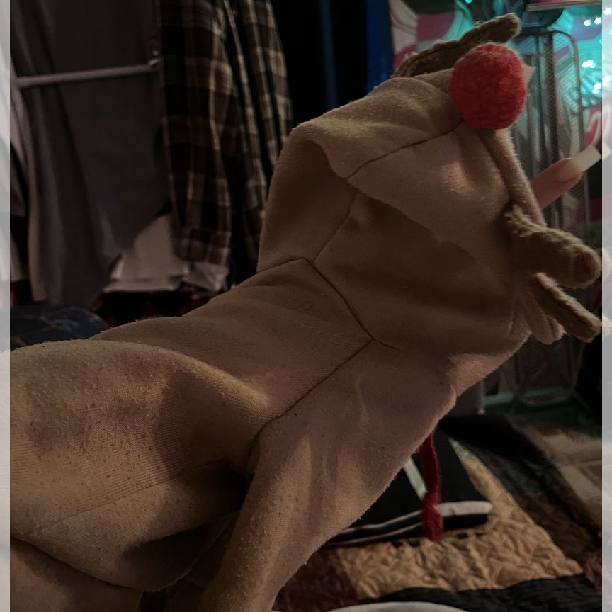 Одежда для маленьких собак