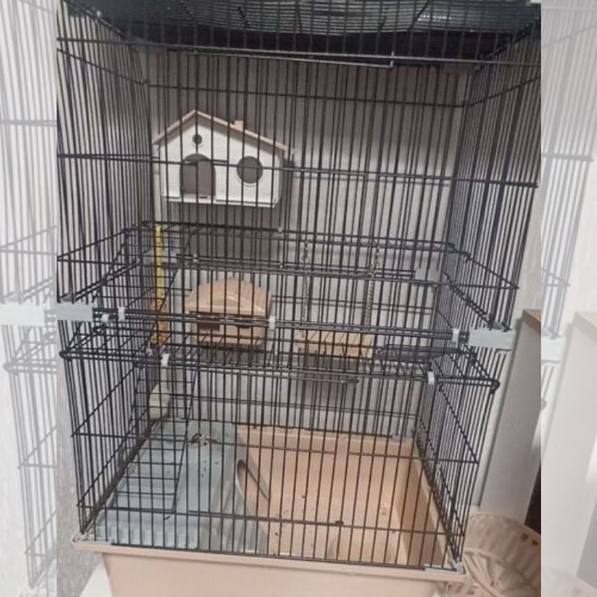 Клетка