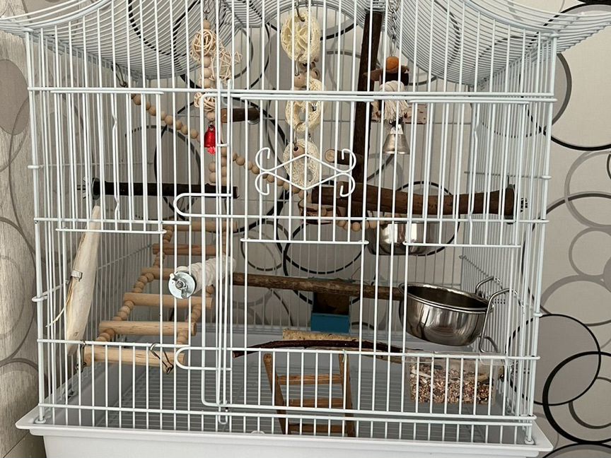 Клетка для попугая с деревянными игрушками