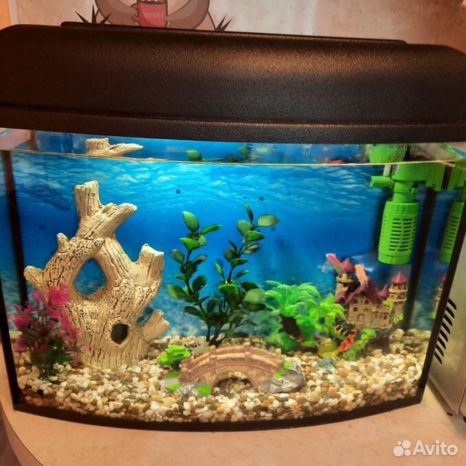 Аквариум 25л