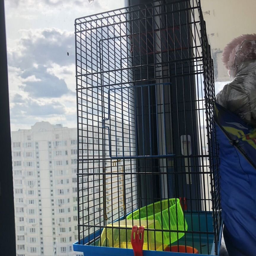 Клетка, Домик для птиц