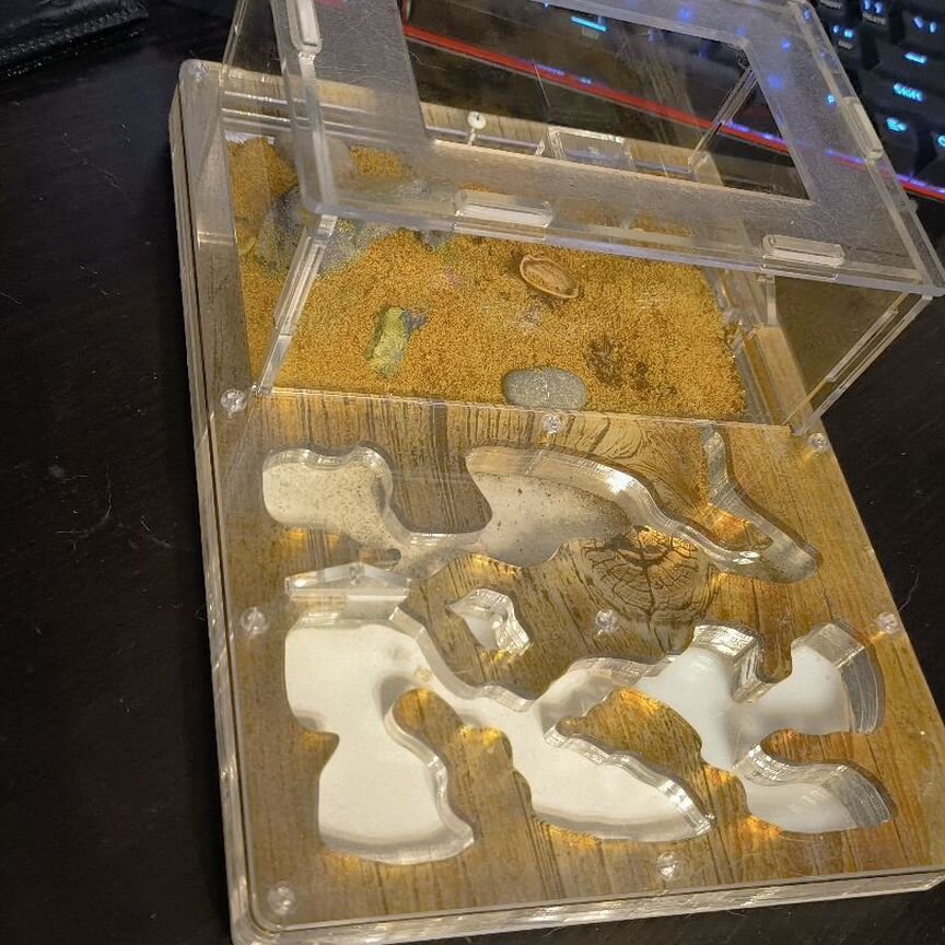 Формикарий бу