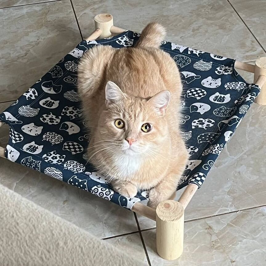 Гамак для кошек