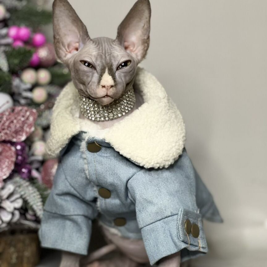 Фантастическая маленькая кошечка Женечка