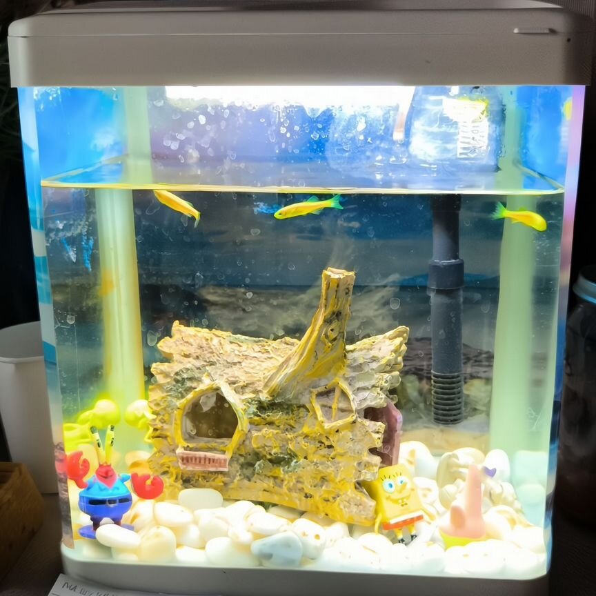 Аквариум с рыбками