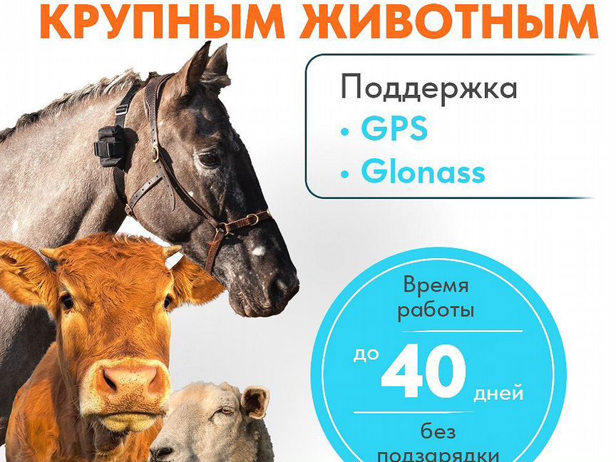 Ошейник для крс