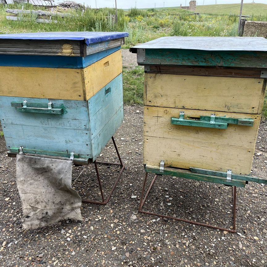 Улей дадан 16 рам