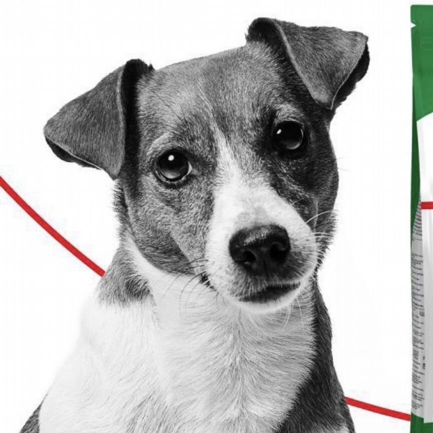 Сухой корм для собак Adult адалт