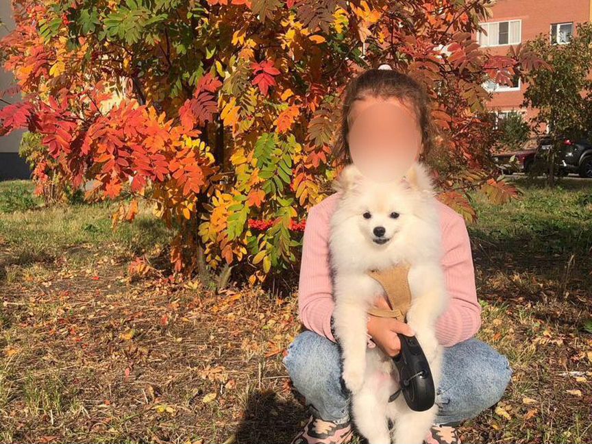 Собака
