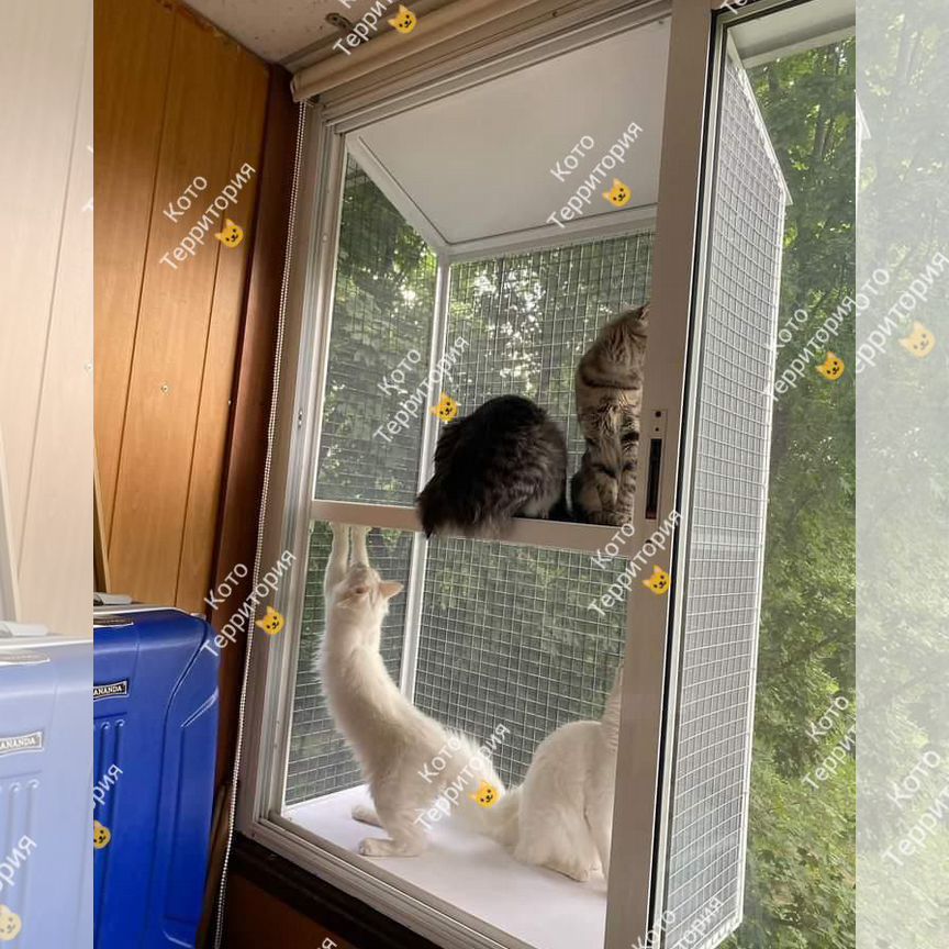 Сетка на окна антикошка