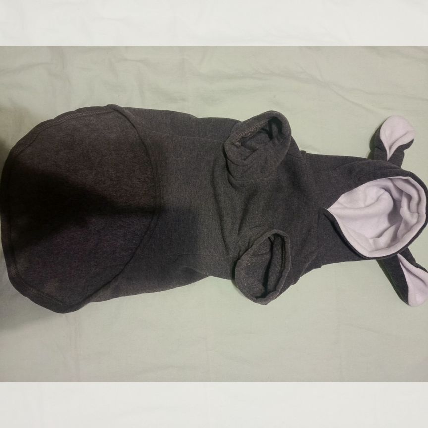 Одежда для собаки